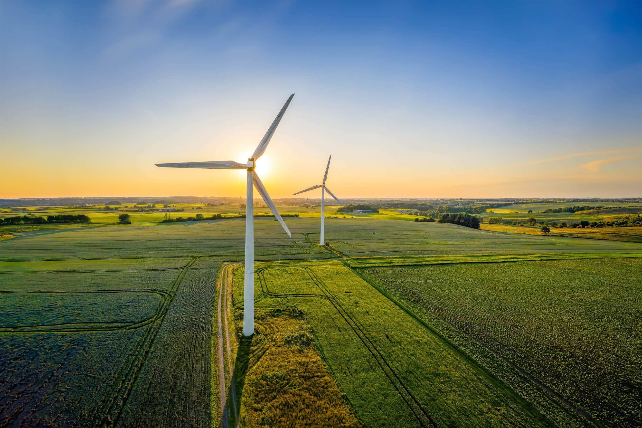 Todo lo que debes saber sobre la energía renovable en España | Acis Energía